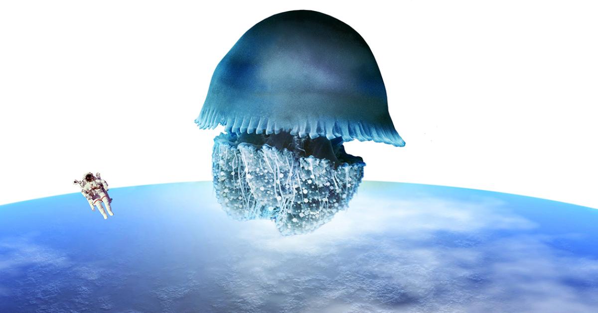 Die Qualle | Philosophie Magazin