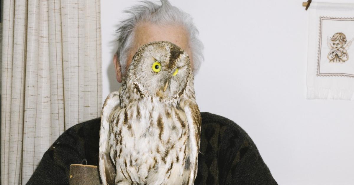 Wie werde ich weise? | Philosophie Magazin